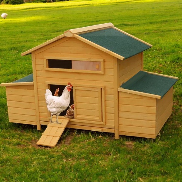 Chicken Coops - Crafted from Wood - InTheMarket.ie